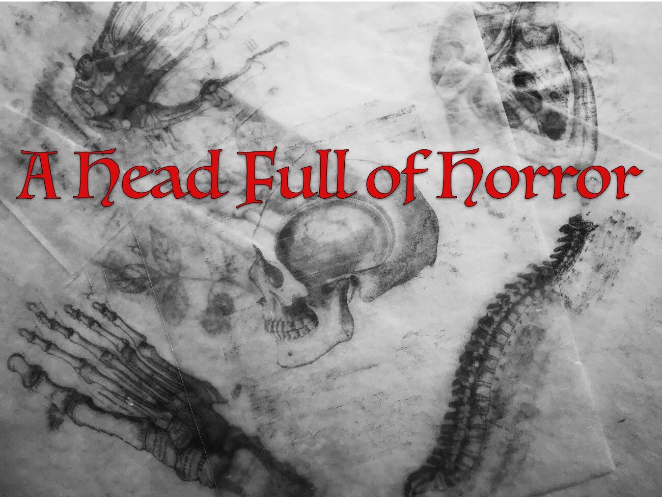 A Head Full of Horror – Reviews, Analysis, and More